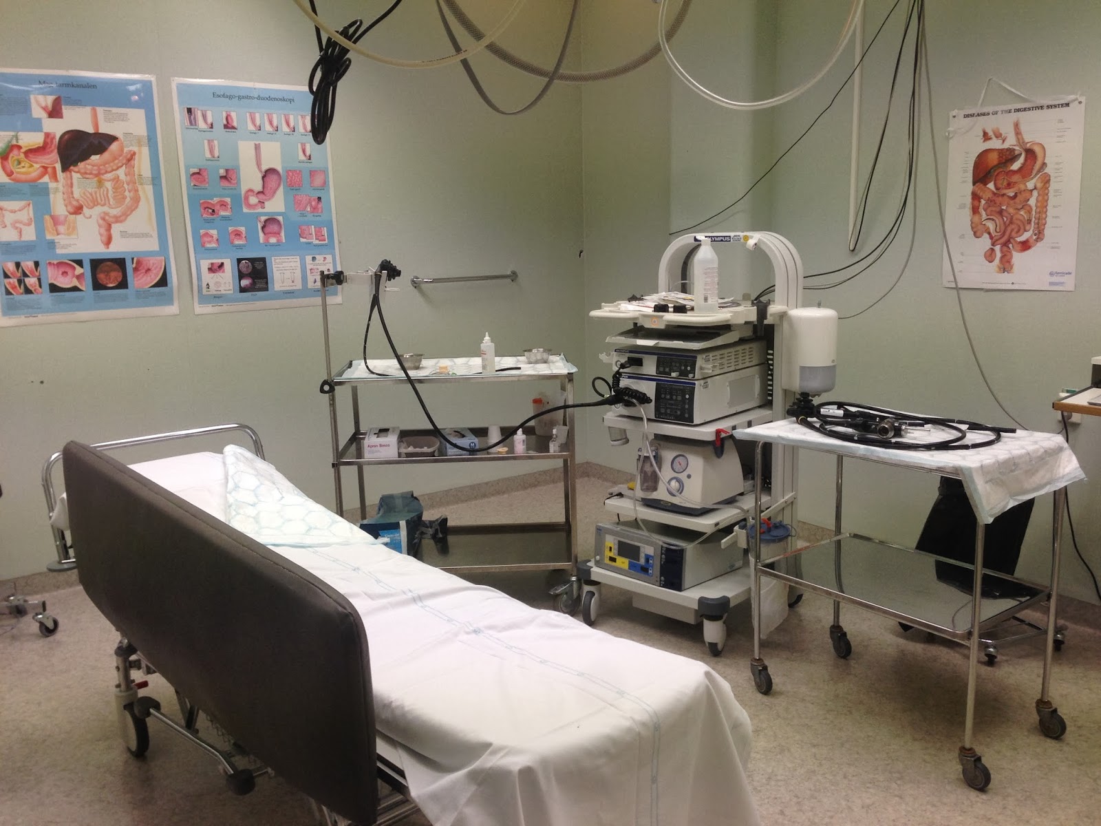 I sällskap av endometrios: Svar från gastroskopi och sigmoideskopi